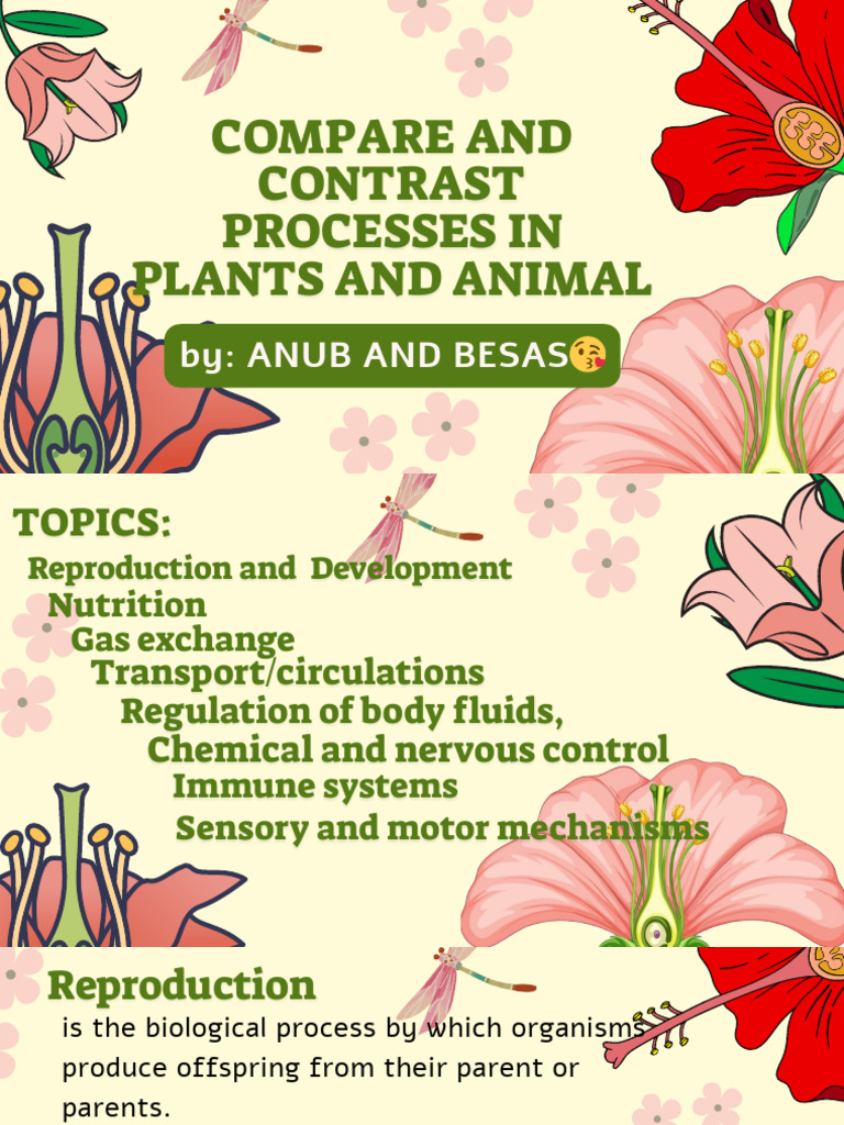 Green Pink Playful Flower Reproduction Science Group Project ...