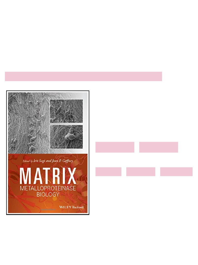 Matrix Metalloproteinase Biology 1st Edition Irit Sagi available all ...