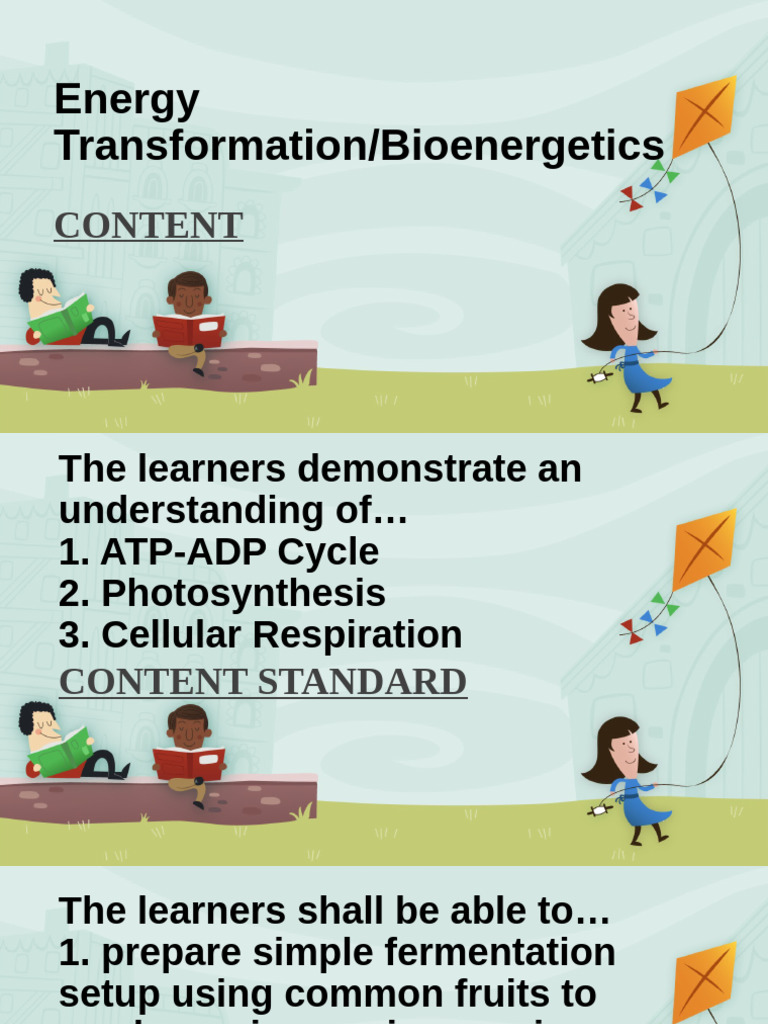 Energy Transformation: Respiration & Photosynthesis | PDF | Cellular ...