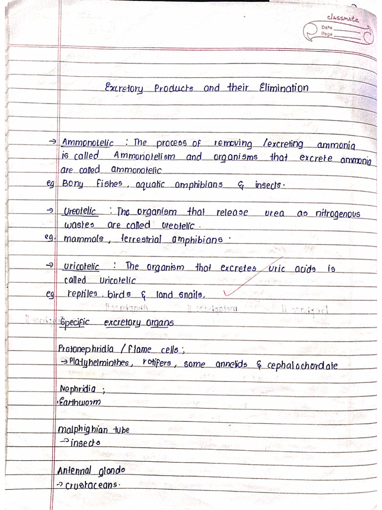 DocScanner 17-Dec-2025 8-13 pm (1) | PDF