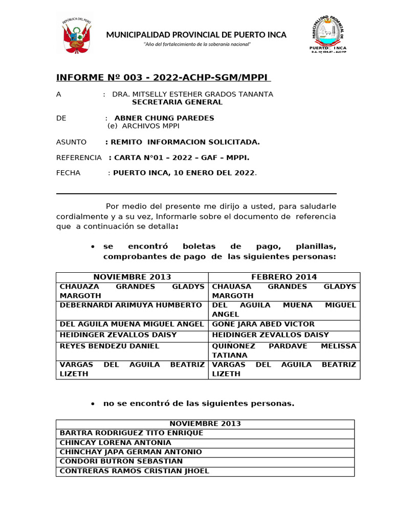 INFORME N°003 | PDF