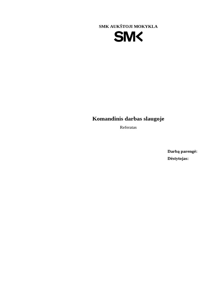 Komandinis Darbas Slaugoje. Referatas. | PDF