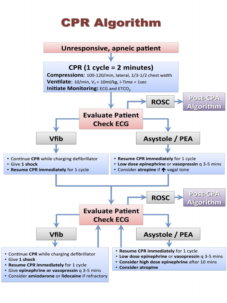 CPR Algorithm | PDF