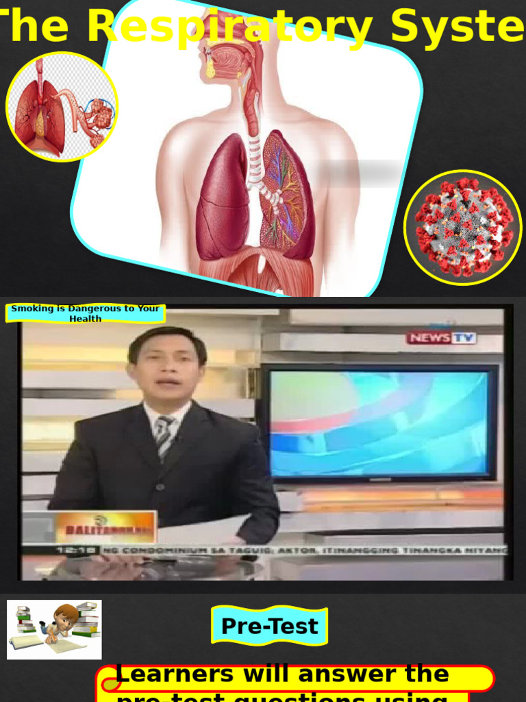 Understanding the Respiratory System | PDF | Ct Scan | Magnetic ...