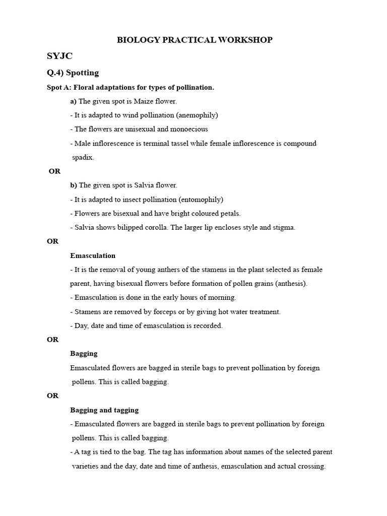 XII Q 4 Answer key | PDF | Dominance (Genetics) | Zygosity