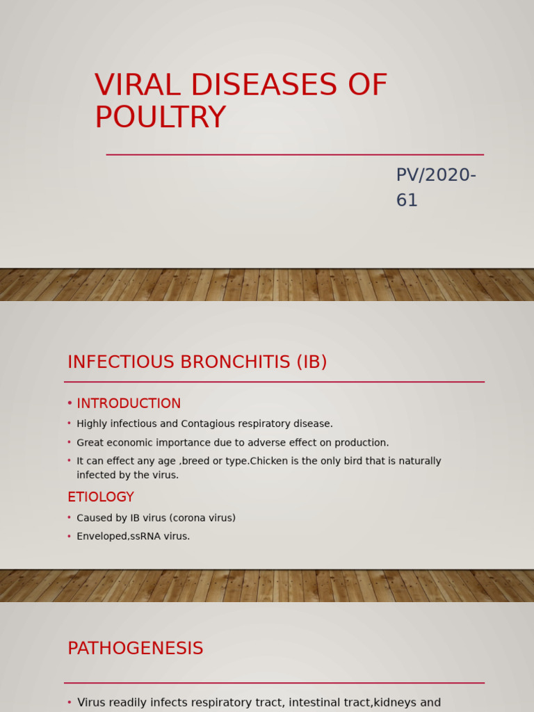 Presentation (8) sree | PDF