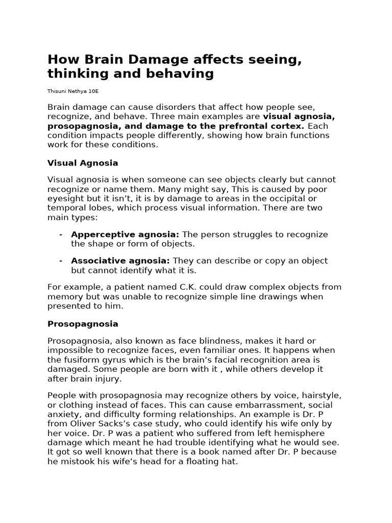 How Brain Damage Affects Seeing, Thinking and Behaving | PDF ...