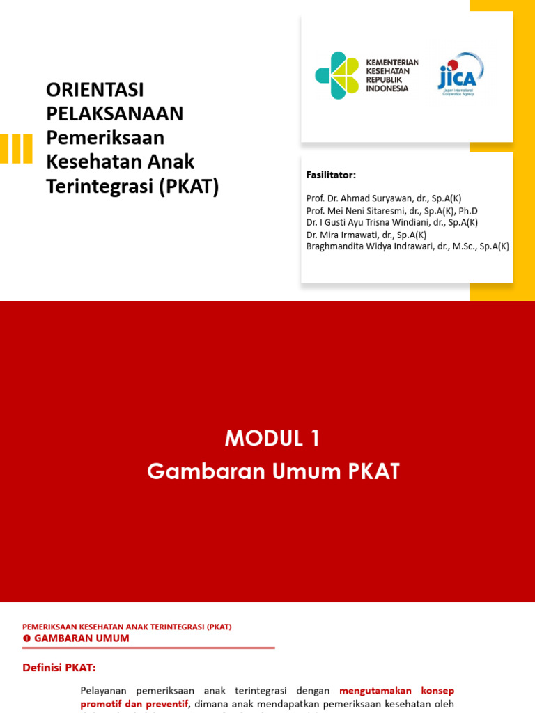 Panduan Pelaksanaan PKAT Anak | PDF