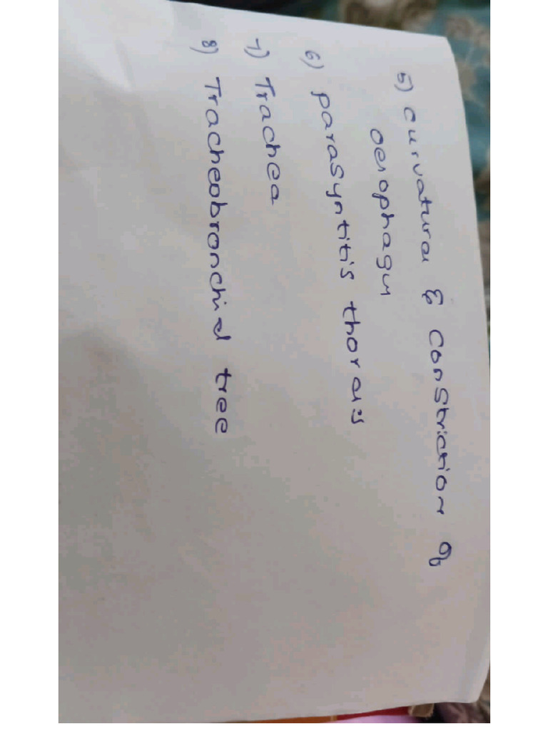 Anatomy Question Paper | PDF