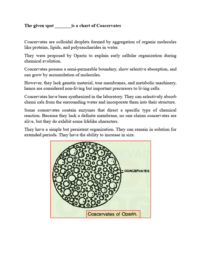 102 Charts | PDF | Natural Selection | Evolution