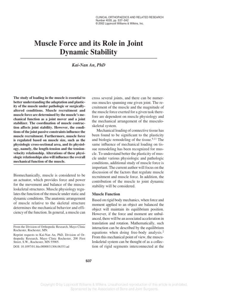 Muscle Force and Joint Stability Insights | PDF | Anatomical Terms Of ...