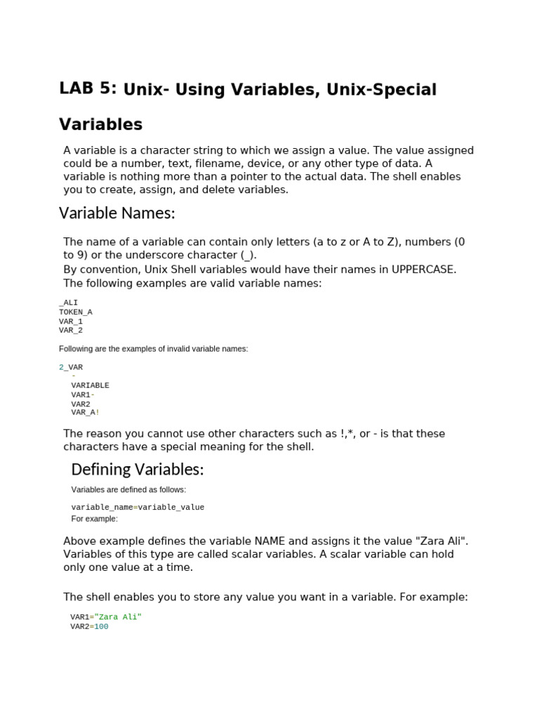 LAB 5 | PDF | Parameter (Computer Programming) | Command Line Interface