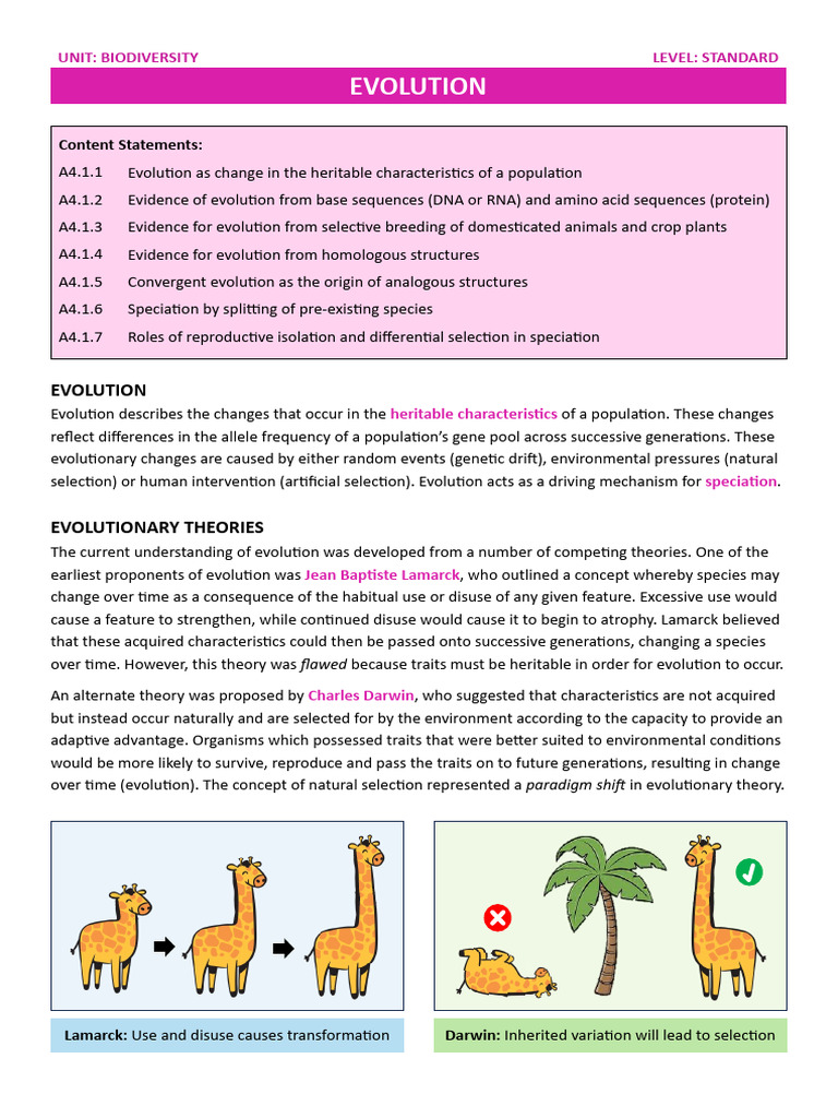9.1 Evolution | PDF | Homology (Biology) | Evolution