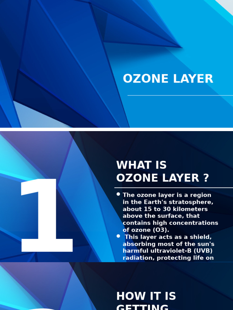 Ozone Layer Project | PDF