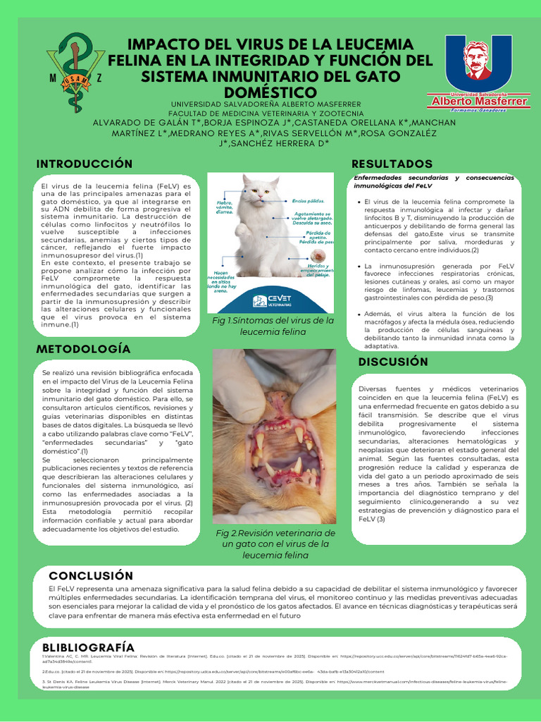 Efectos del FeLV en el sistema inmunitario felino | PDF | Sistema ...