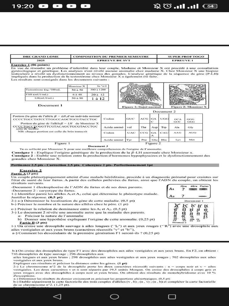 PDF_Phoenix_20260120_192335 | PDF