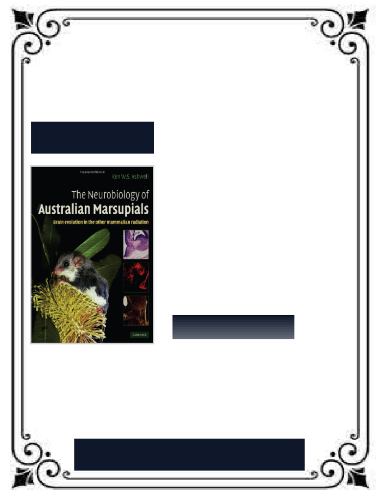 The Neurobiology of Australian Marsupials Brain Evolution in the Other ...