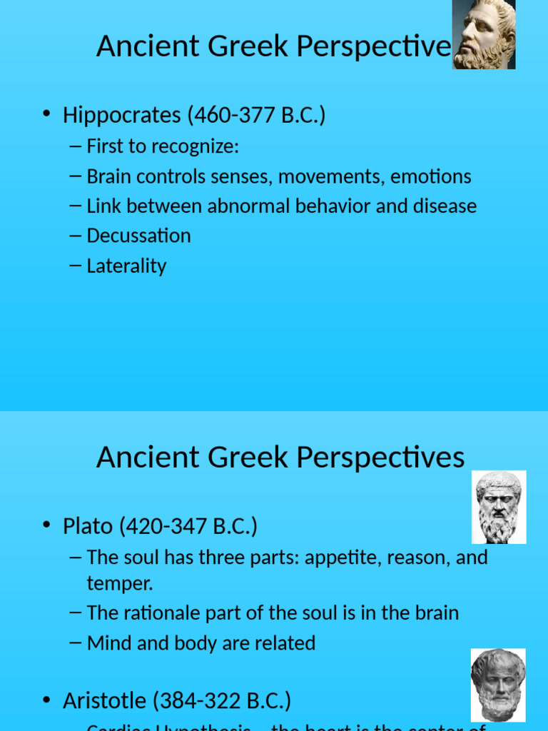 Ancient Greek Views on Brain and Behavior | PDF | Axon | Striatum