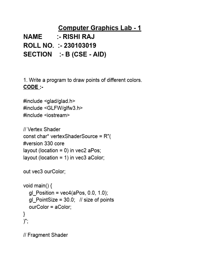 3019_RISHI RAJ - Lab Manual With List of Programs | PDF | Computer Programming | C++
