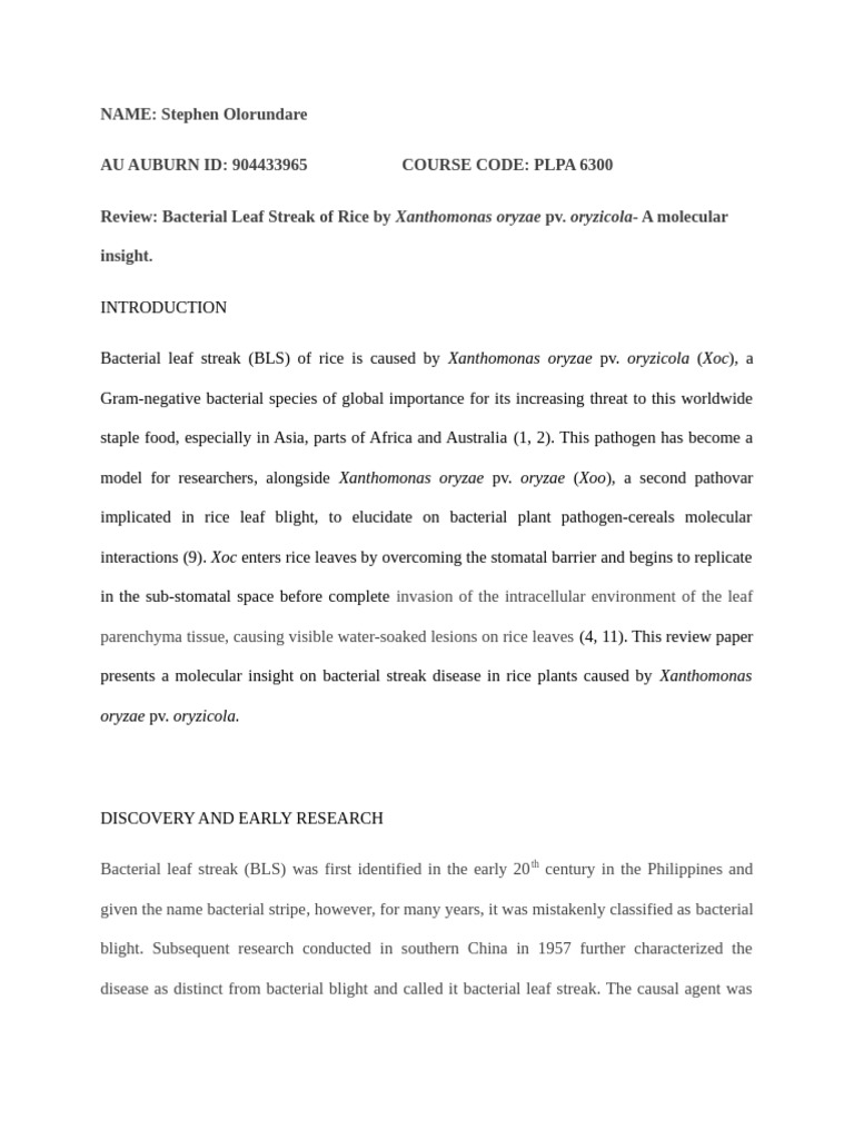 Bacterial Leaf Streak | PDF | Biology | Cell Biology