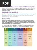 RICEFW Roles in SAP Projects | PDF | Databases | Information Technology ...