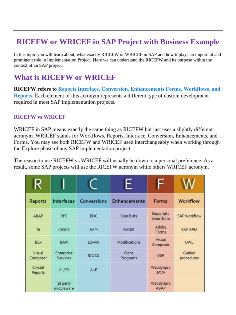 Ricefw or Wricef in Sap Project | PDF | Performance Indicator | Computing