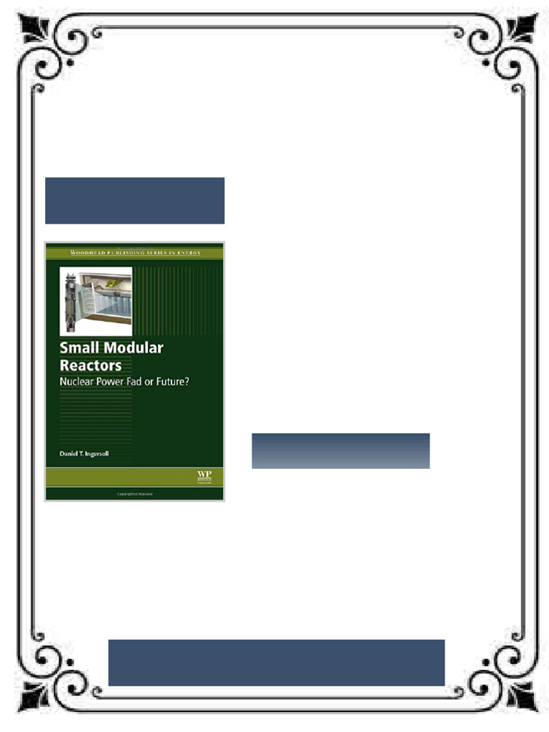 Small Modular Reactors Nuclear Power Fad or Future 1st Edition Daniel T ...