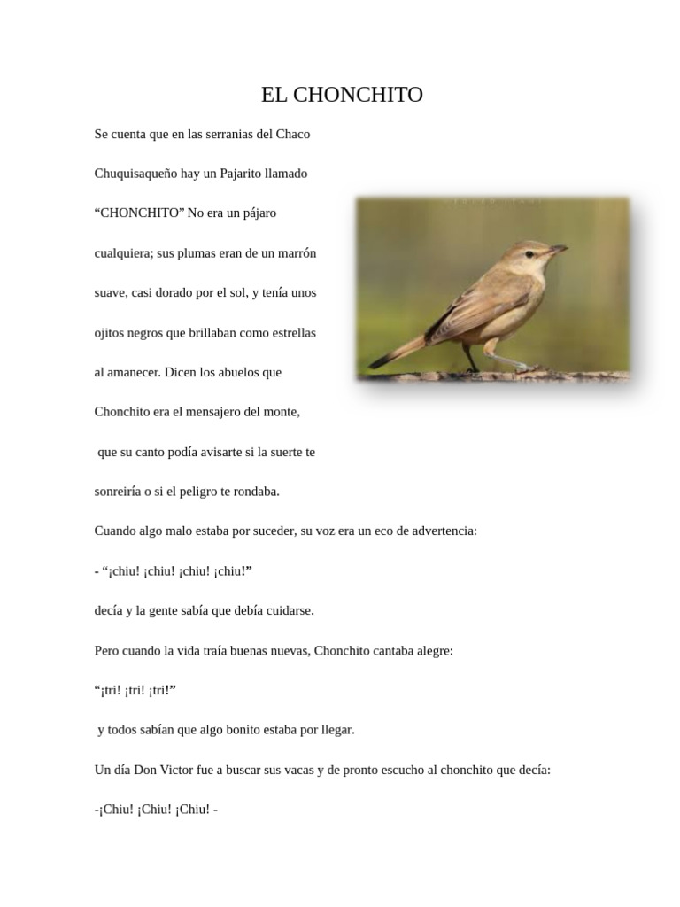 EL CHONCHITO-cuento de villa vaca guzman | PDF