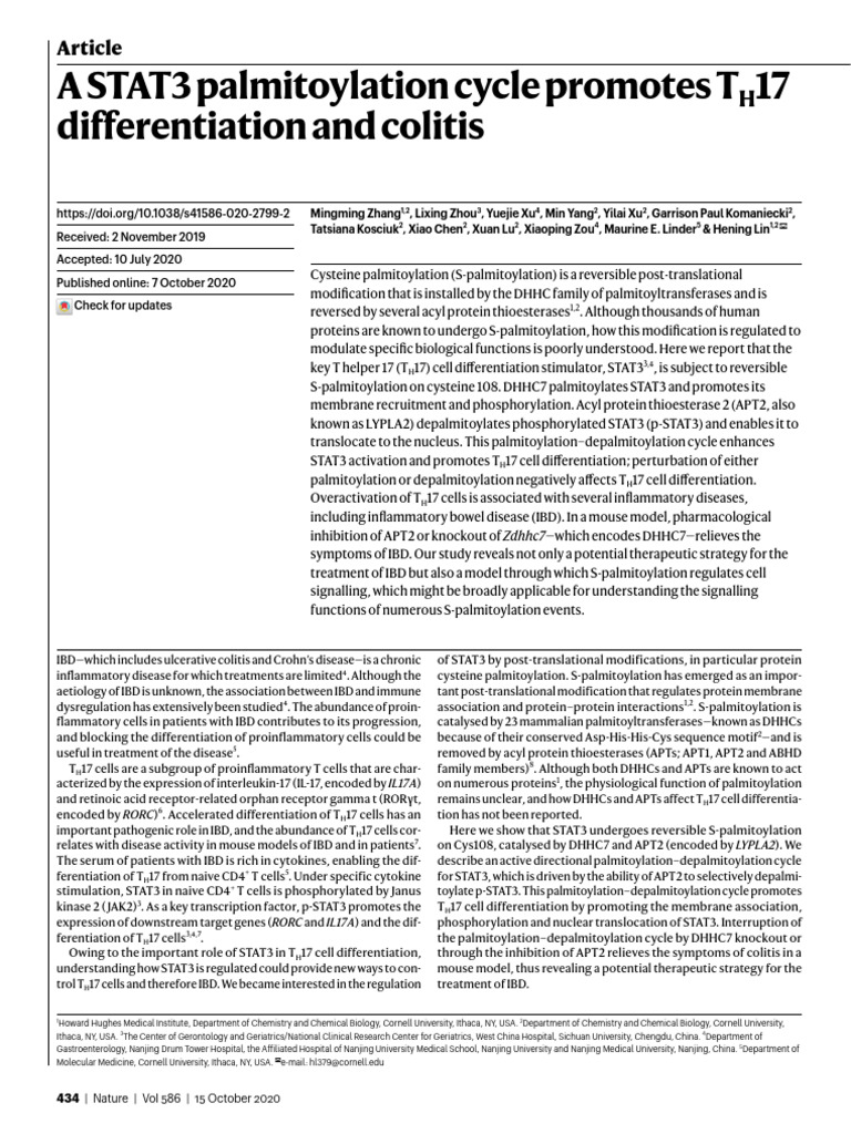 A STAT3 Palmitoylation Cycle Promotes TH17 Differentiation and Colitis ...