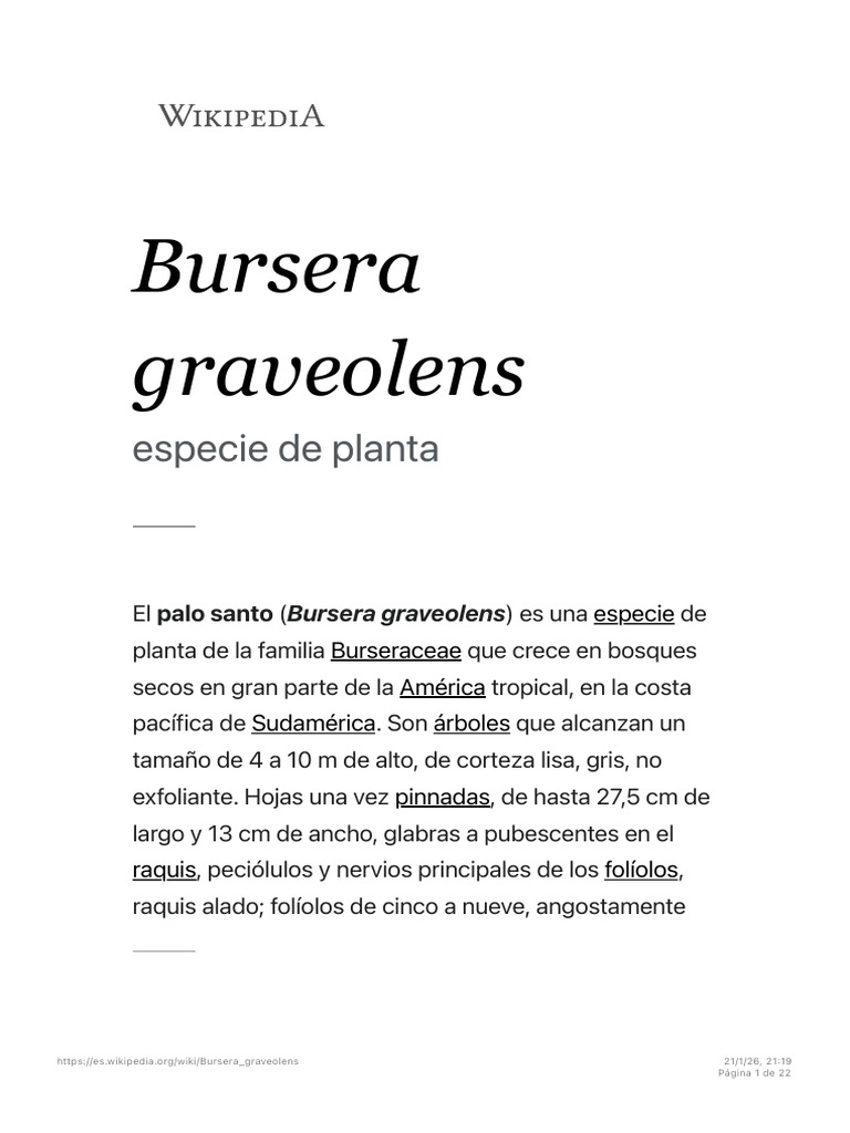 Bursera Graveolens - Wikipedia, La Enciclopedia Libre | PDF | Arboles