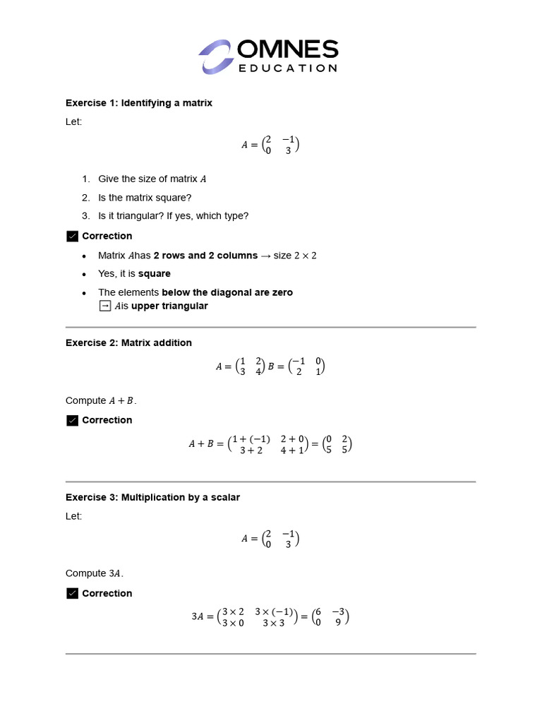 TD Matrices EN | PDF | Matrix (Mathematics) | Functions And Mappings