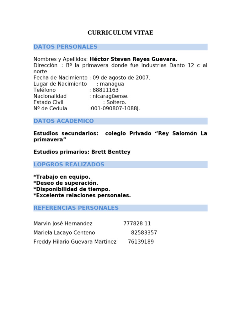Curriculum Vitae Steven (1) | PDF