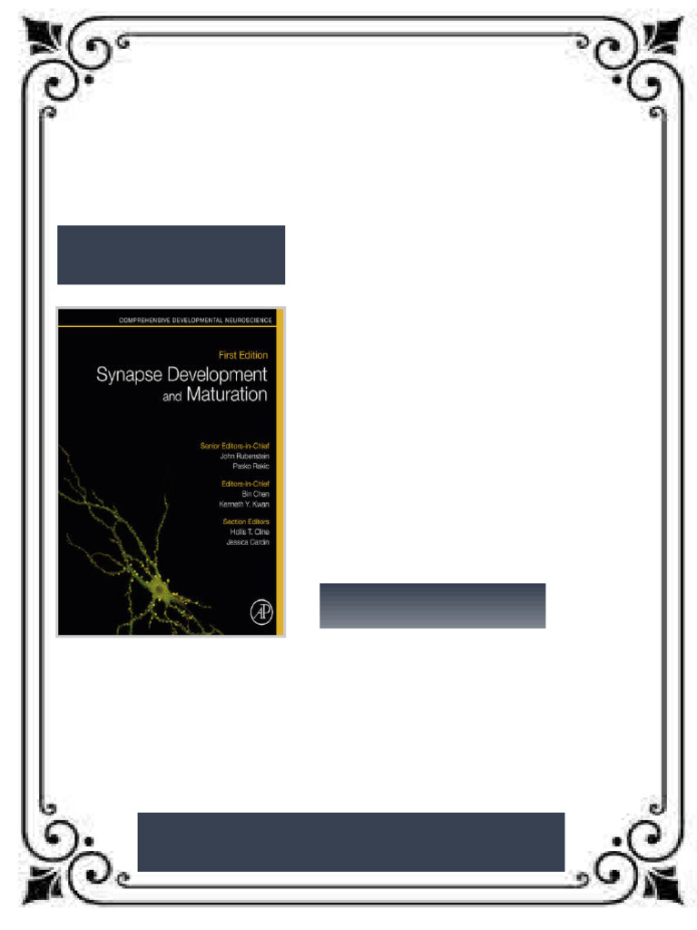 Synapse Development and Maturation: Comprehensive Developmental ...