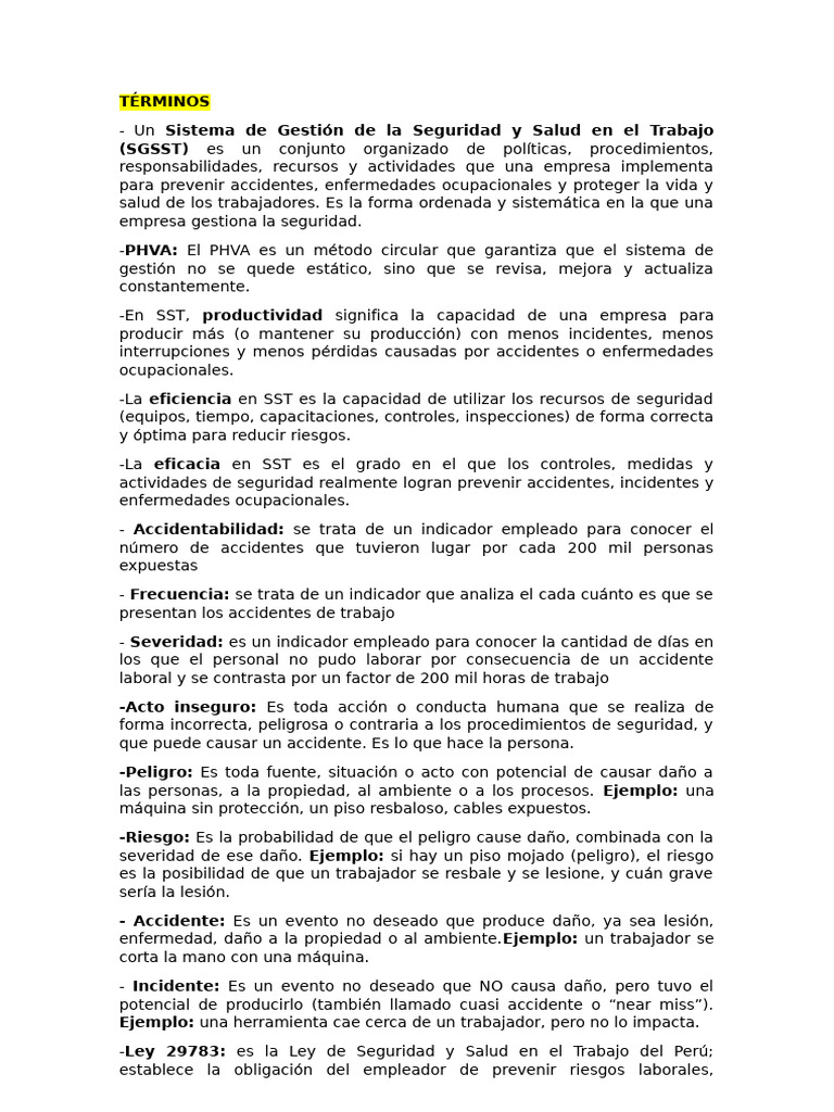 TEORÍA REPASO | PDF | La seguridad