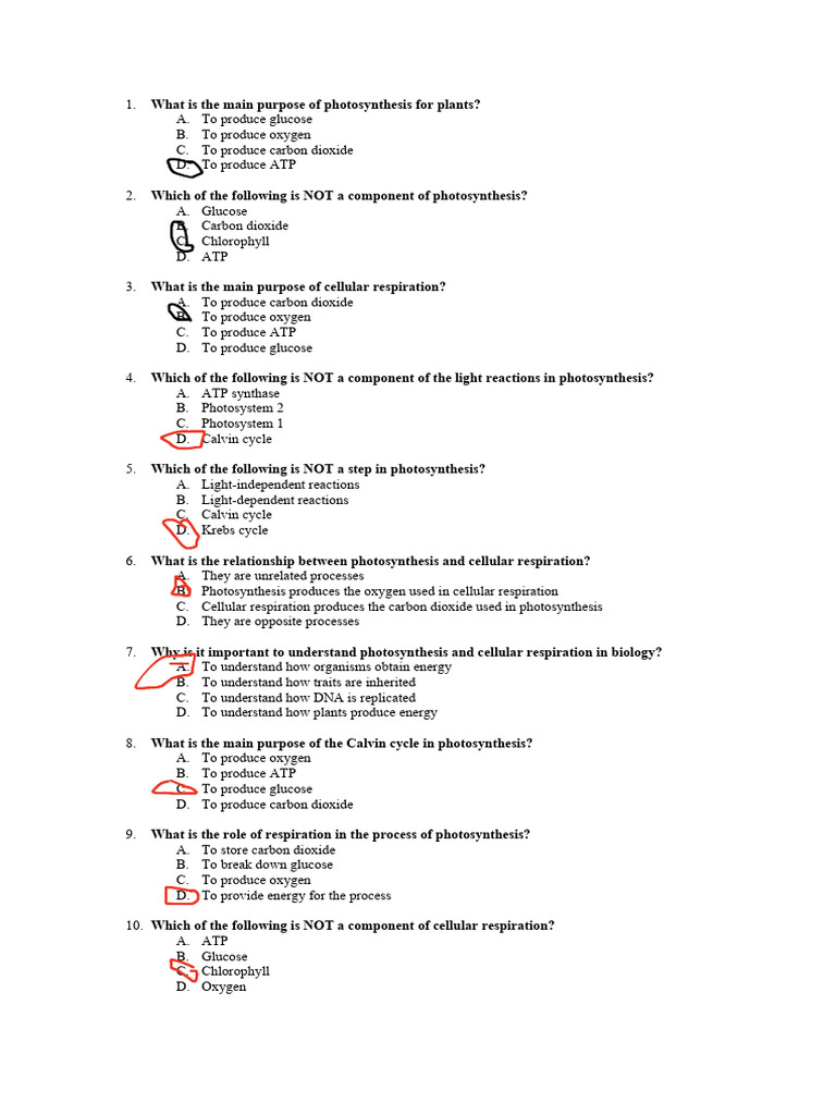 Amoeba Sisters Photosynthesis Questions(1) | PDF | Photosynthesis ...