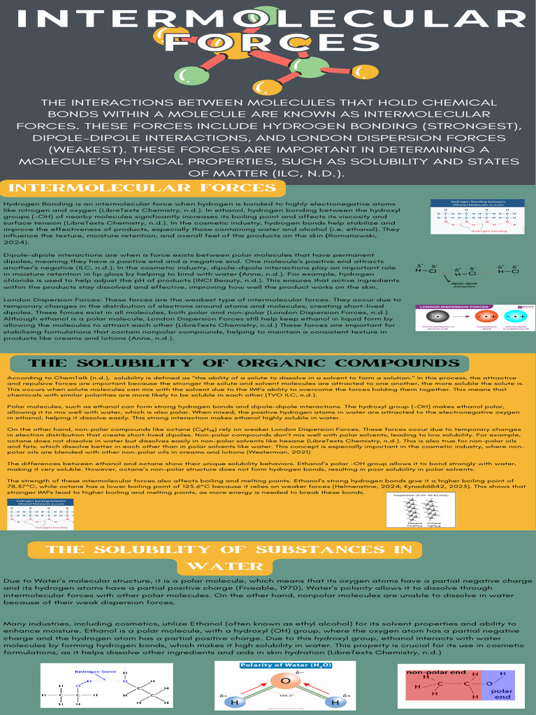 Intermolecular Forces 1.8 Assignment.pdf | PDF | Chemical Polarity | Intermolecular Force