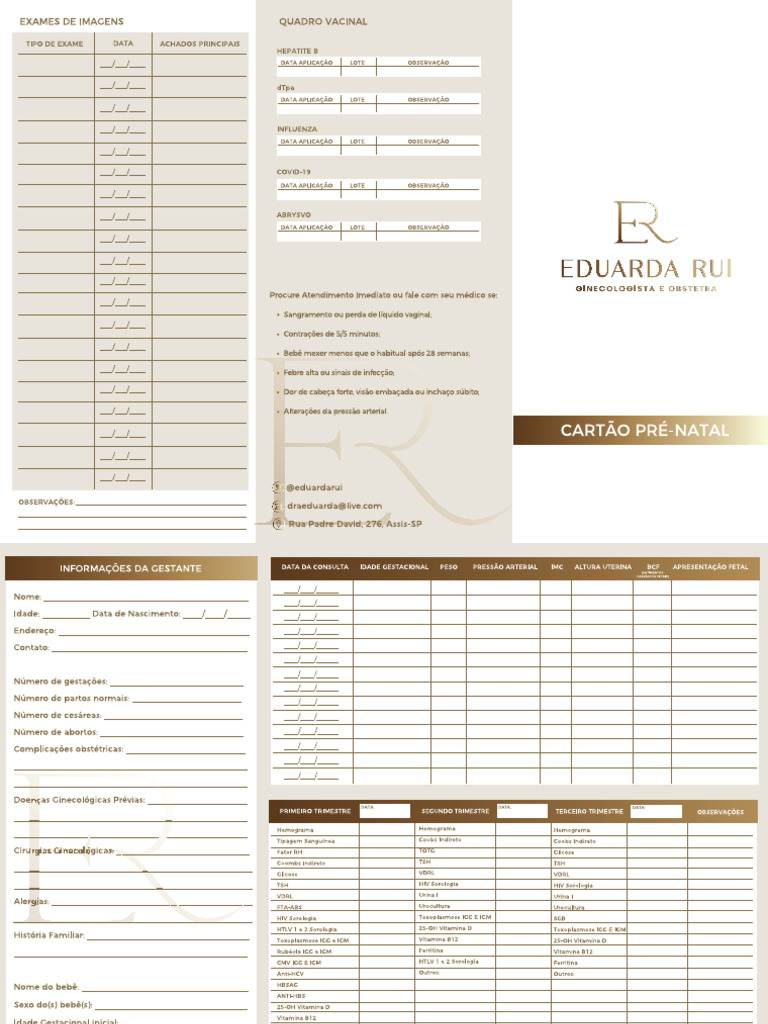 Captura de Tela 2025-04-11 à(s) 11.42.21 | PDF