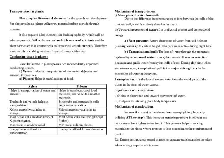 Plant Transportation: Xylem and Phloem Functions | PDF | Plants | Plant ...