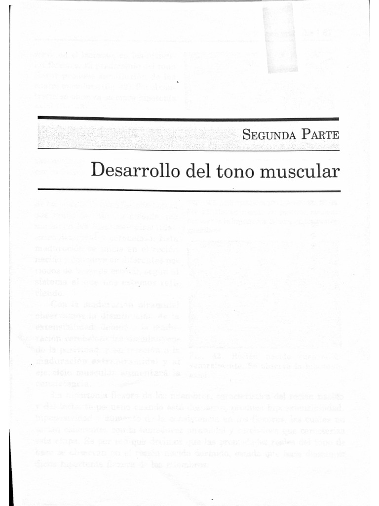 Rebollo_ Tono Muscular y Sus Variaciones | PDF