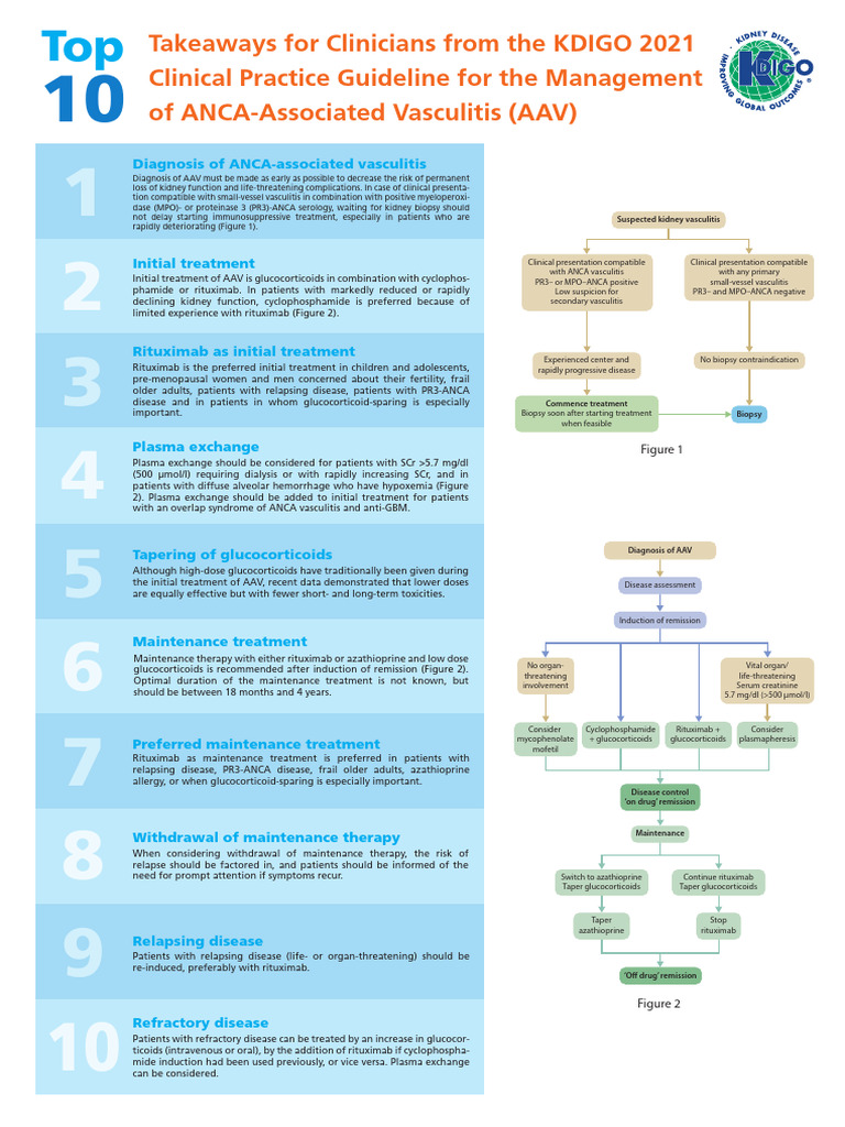 KDIGO 2021 AAV Management Insights | PDF | Medicine | Immunology