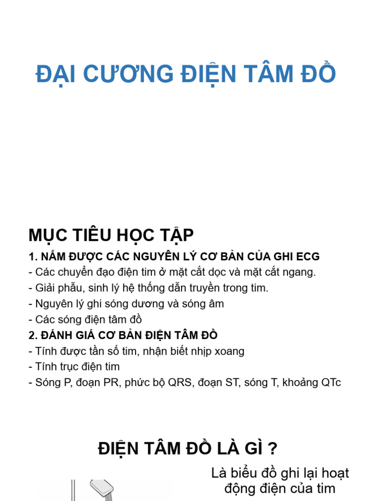 Nhập Môn Ecg | PDF