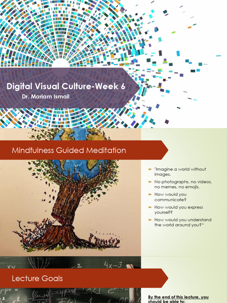 Understanding Digital Visual Culture | PDF | Meme | Body Image