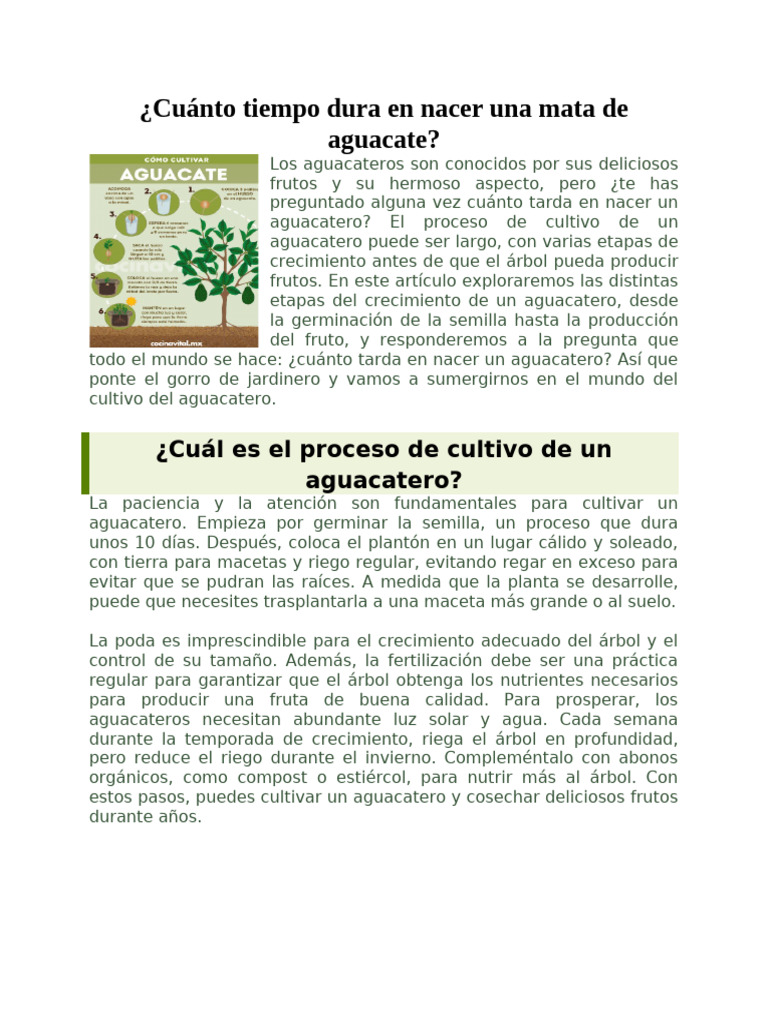 Cuánto tiempo dura en nacer una mata de aguacate | PDF | Aguacate | Semilla