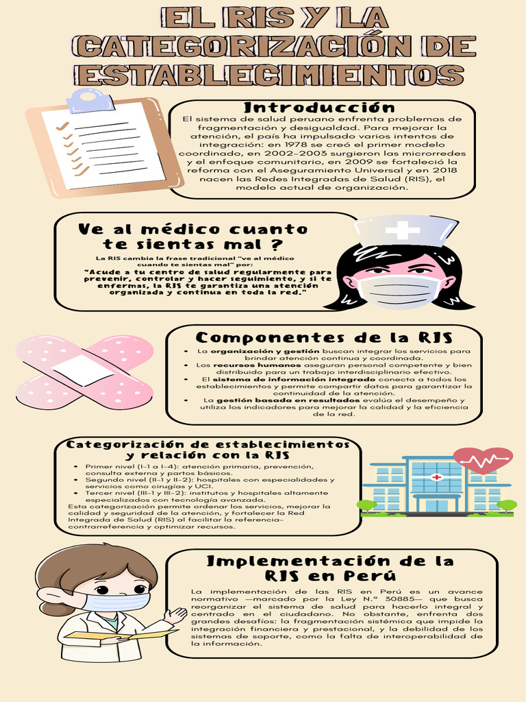 Infografía Del RIS | PDF | Hospital