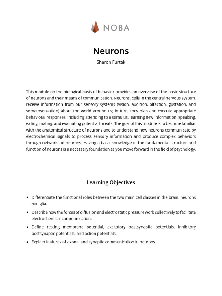 Neurons | PDF | Chemical Synapse | Excitatory Postsynaptic Potential
