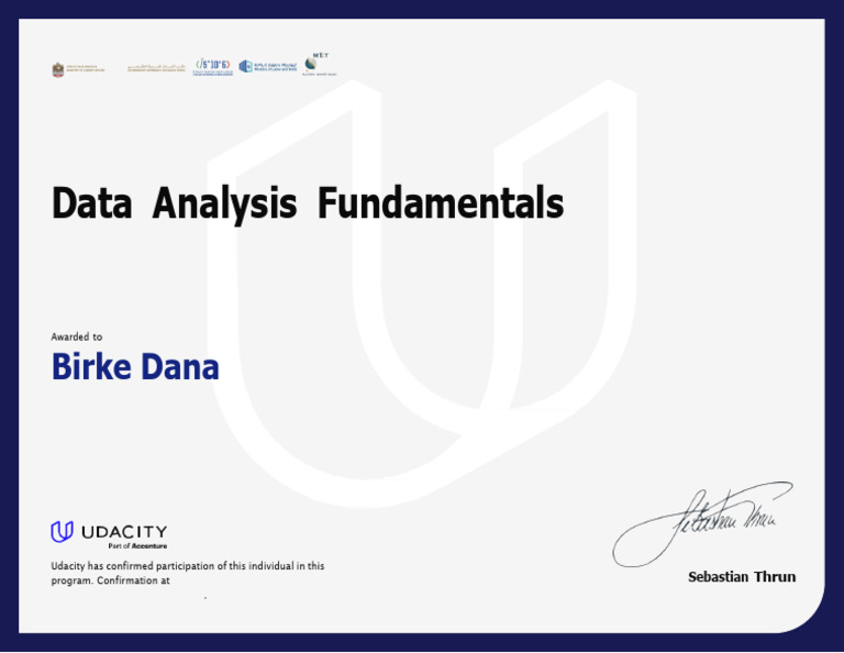 Birke Dana 1 Data Analysis Fundamentals | PDF