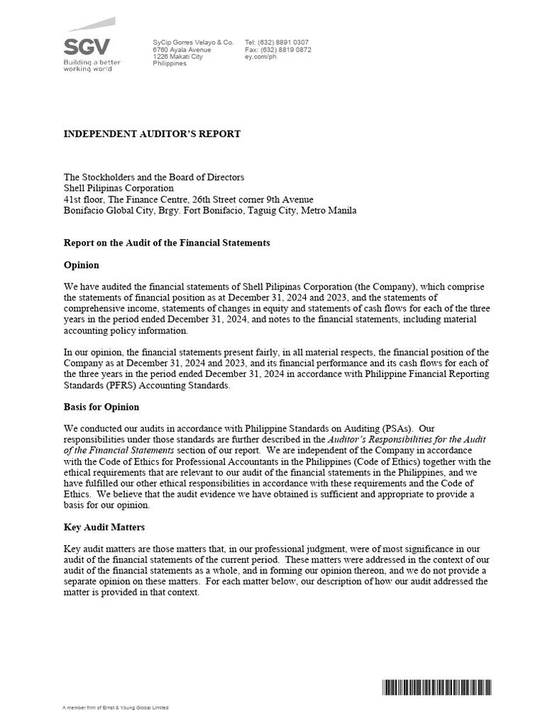 Shlph Audited Financial Statements 2024 | PDF | Audit | Going Concern