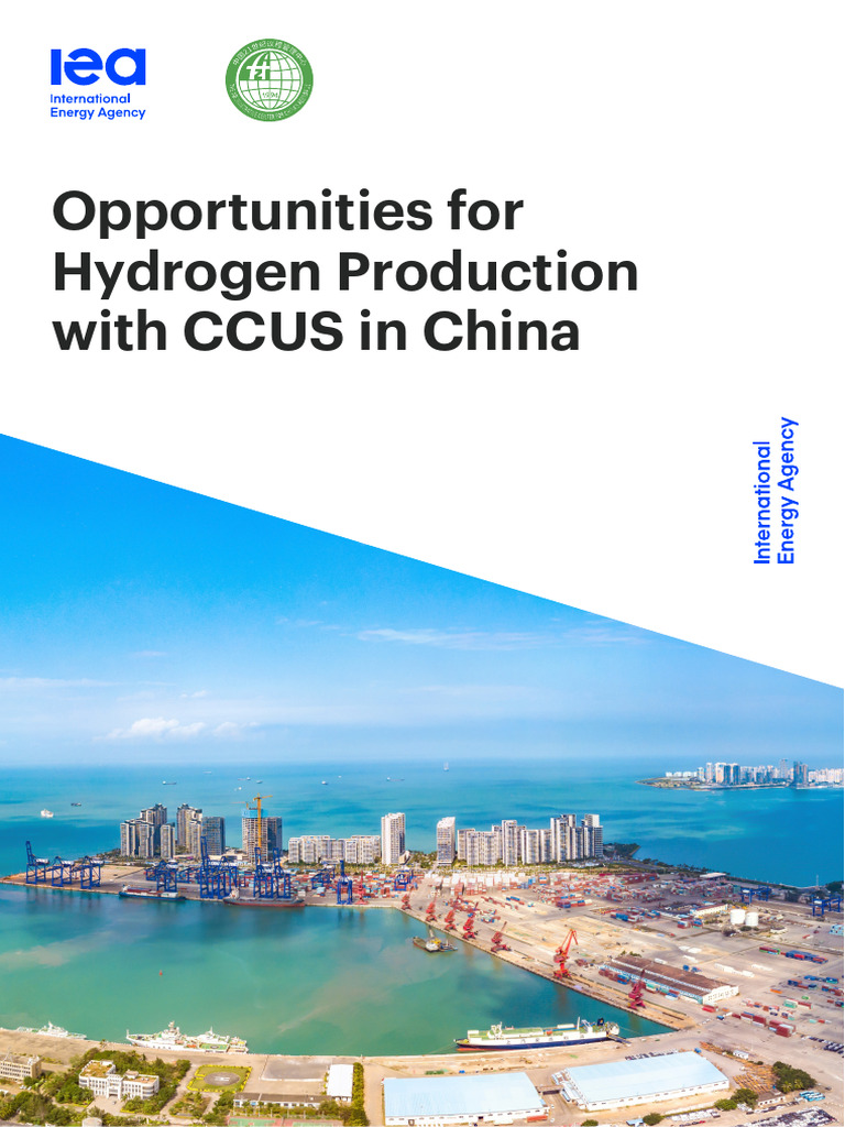 OpportunitiesforHydrogenProductionwithCCUSinChina | PDF | Carbon ...