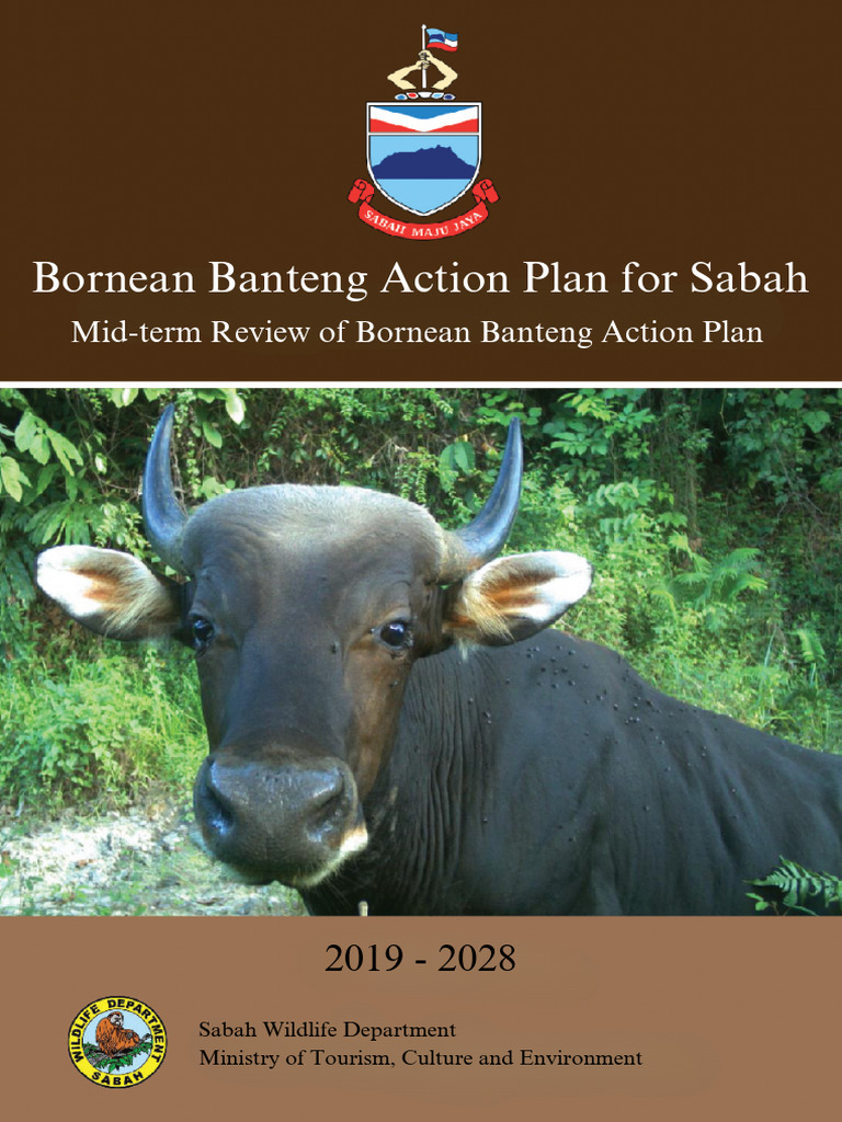 Bbap Mtr Report_final | PDF | Poaching | Crime & Violence