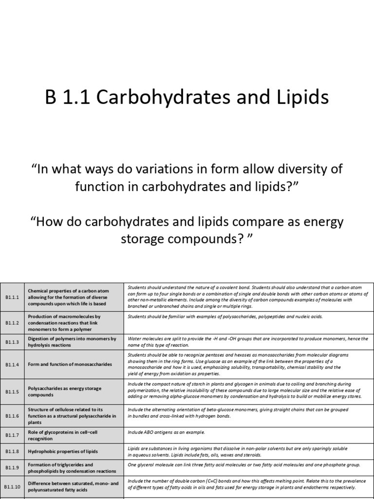 Carbohydrates and Lipids: Functions & Structures | PDF | Triglyceride ...